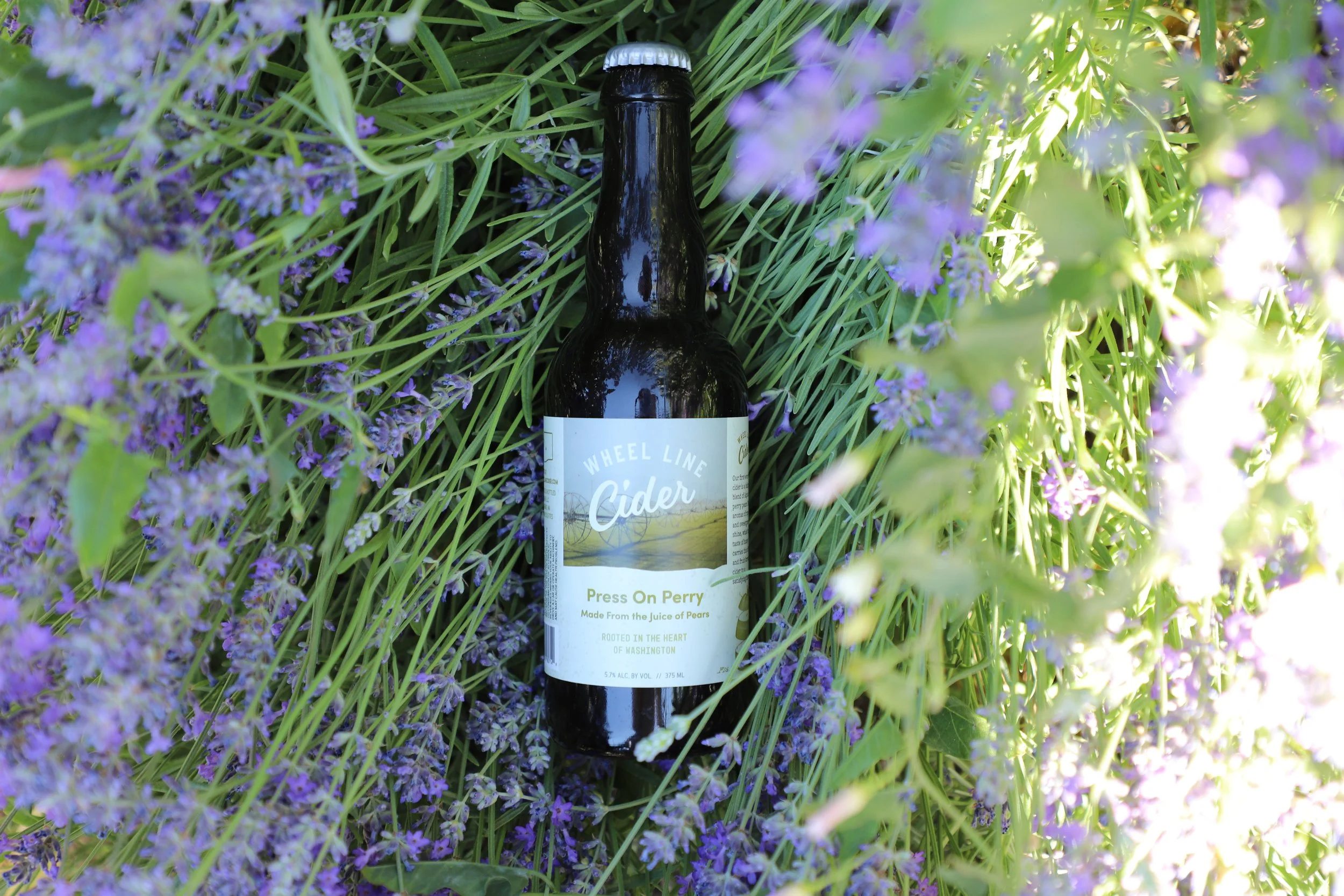 Ciders — Wheel Line Cider