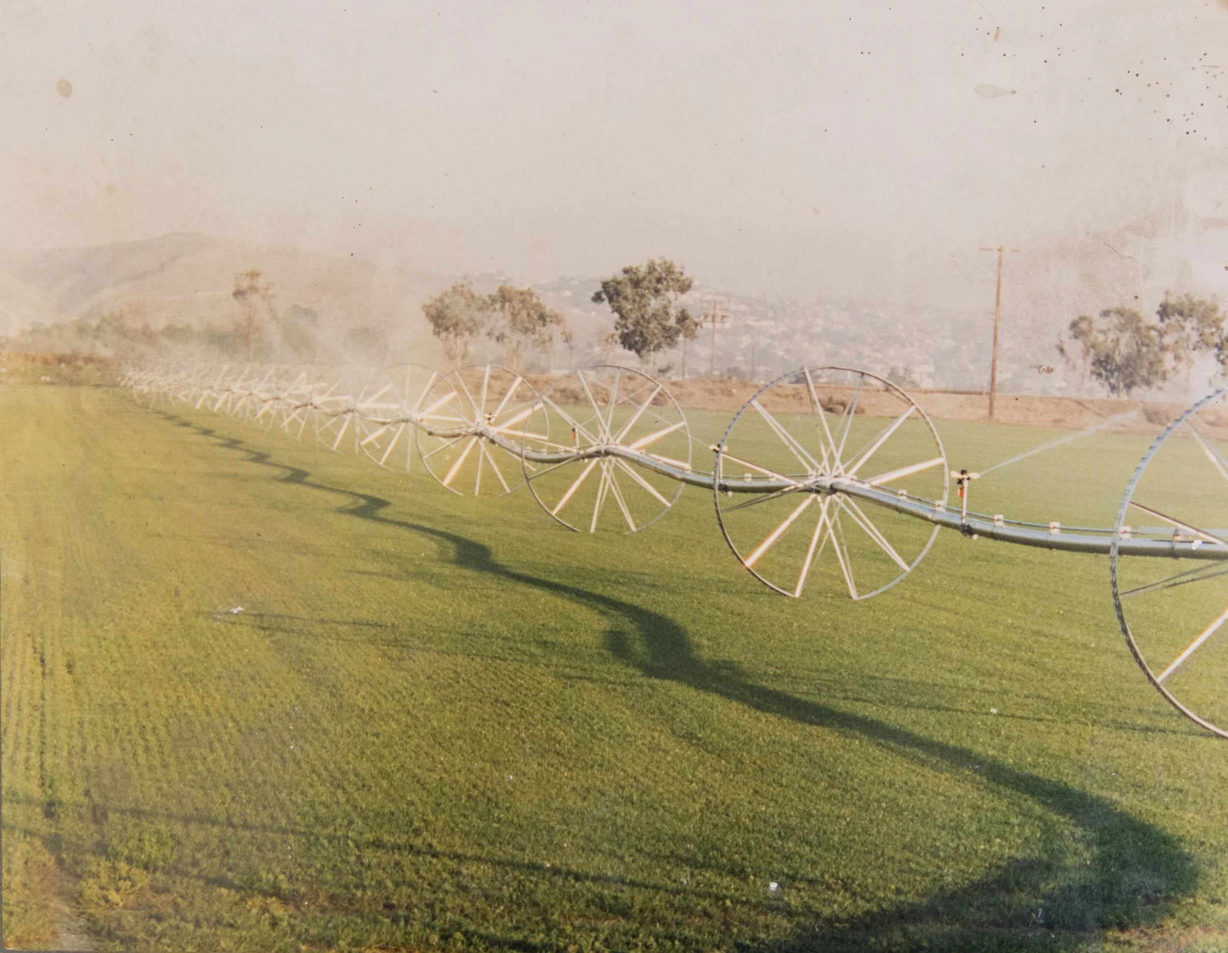 About — Wheel Line Cider