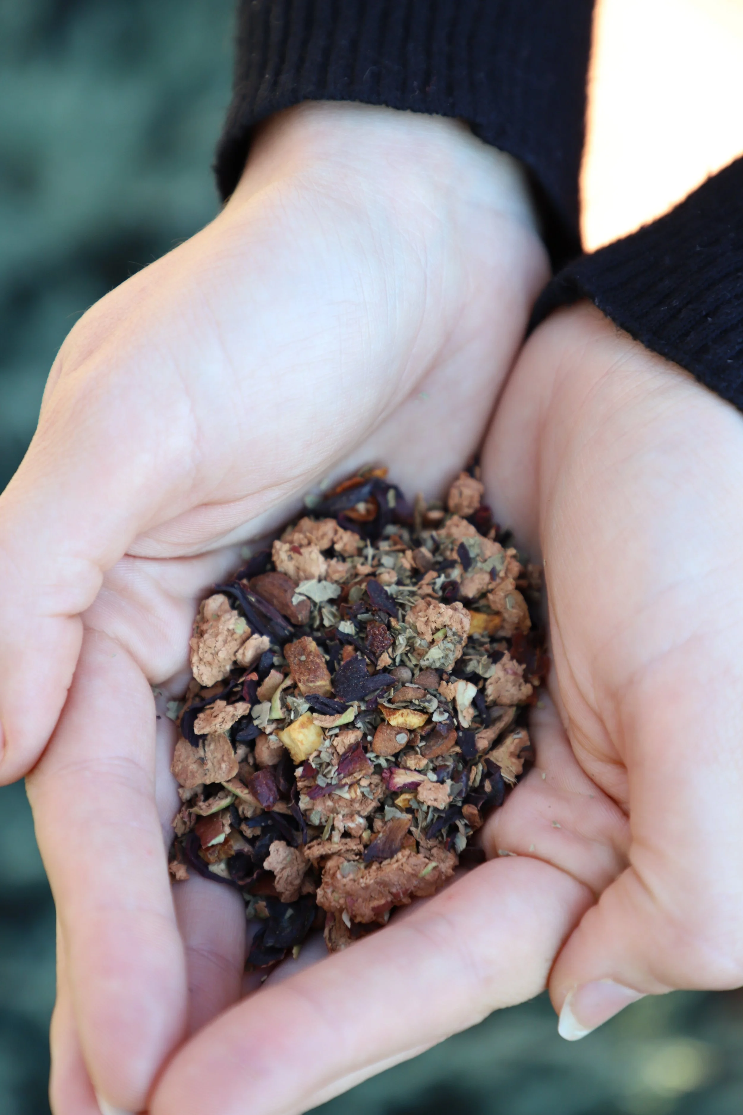 Appeel by Wheel Line Cider — Wheel Line Cider