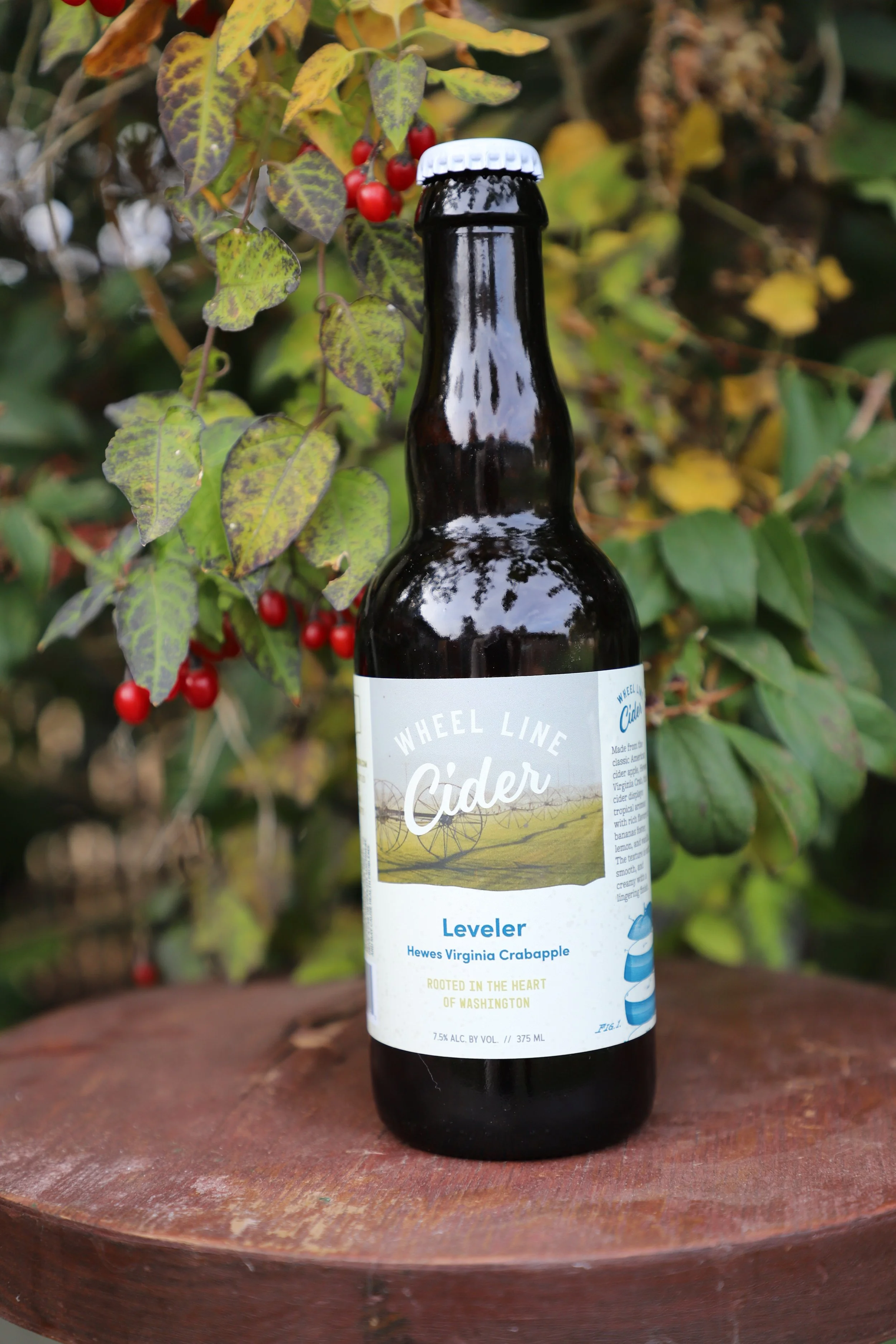 Ciders — Wheel Line Cider