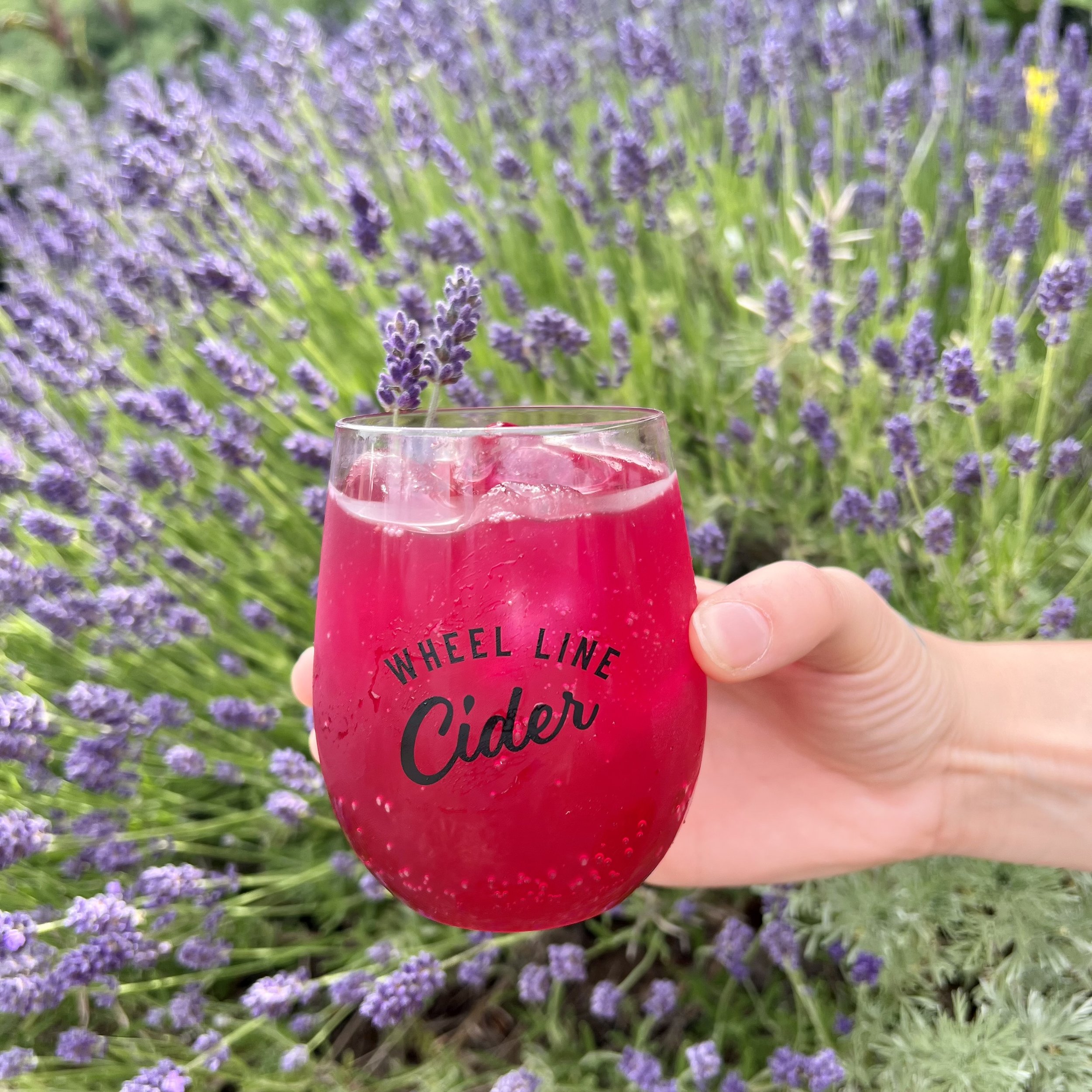 Classes — Wheel Line Cider