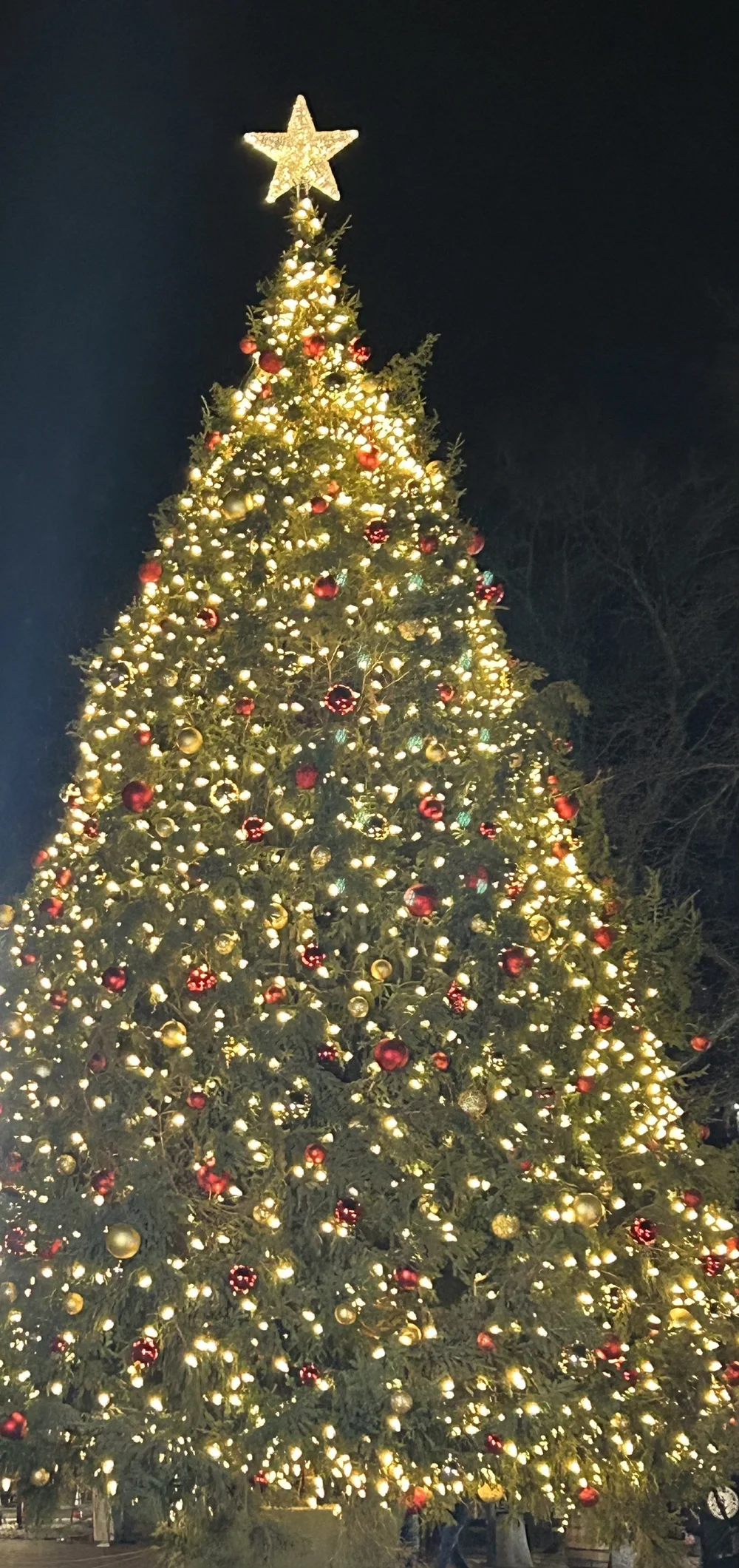 Brett Henry Catering