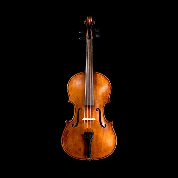 Unveiling the Da Salo Model Viola: Where Timeless Elegance Meets ...