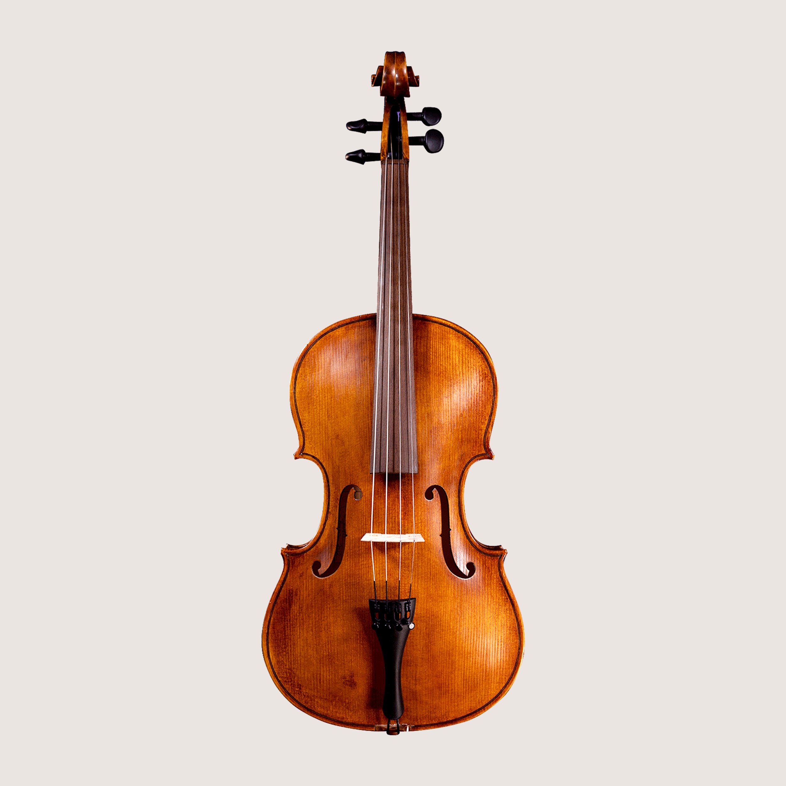 Unveiling the Da Salo Model Viola: Where Timeless Elegance Meets ...