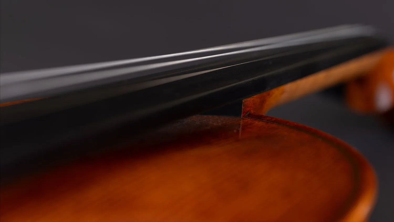 Ebony Alternative Violin Fingerboards | Discover Sustainable Violin ...