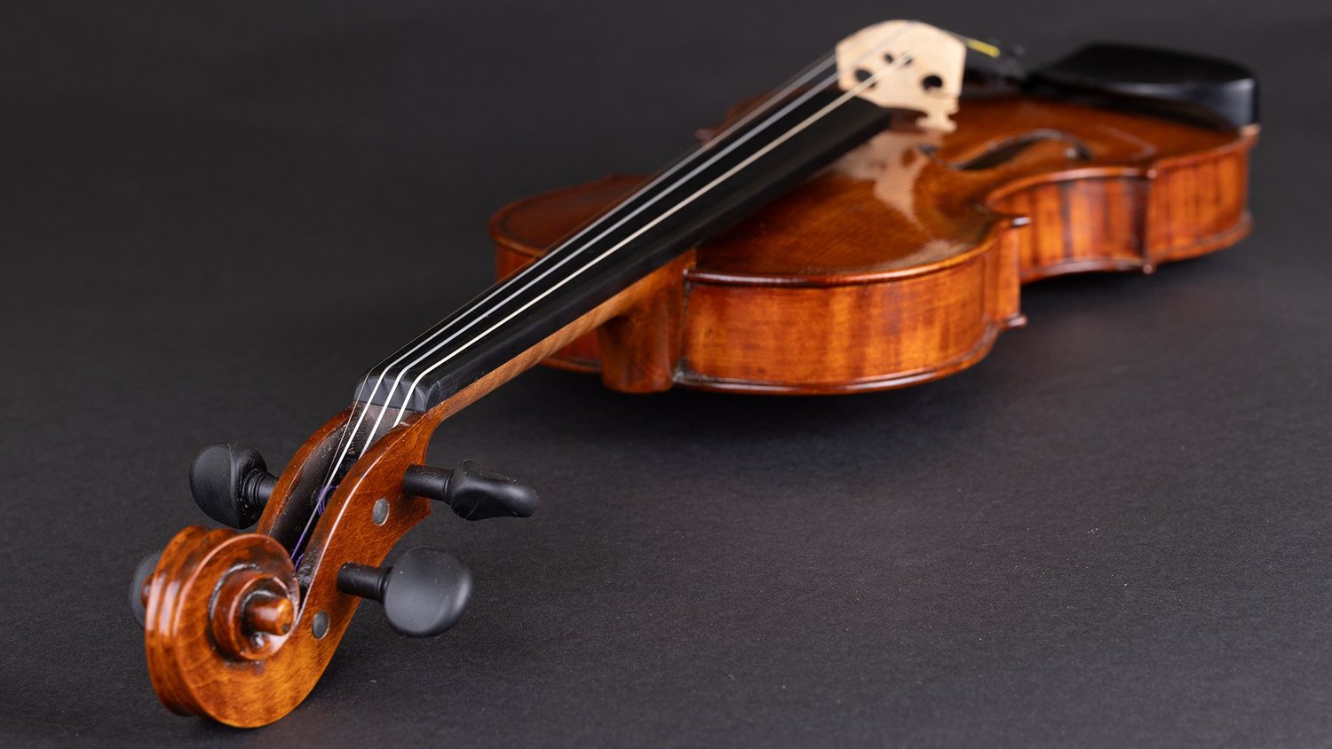 Ebony Alternative Violin Fingerboards | Discover Sustainable Violin ...