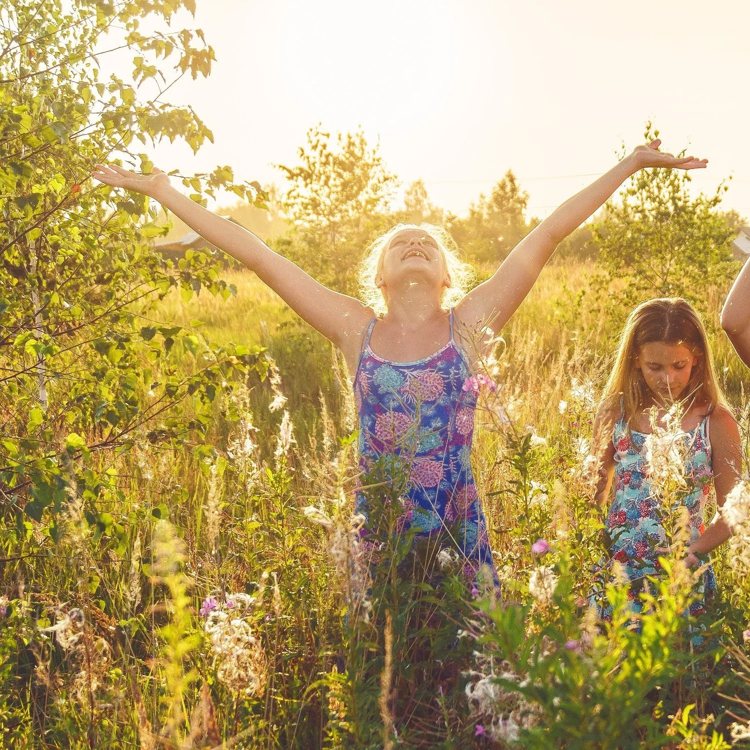 Programs — Pinecone Studio