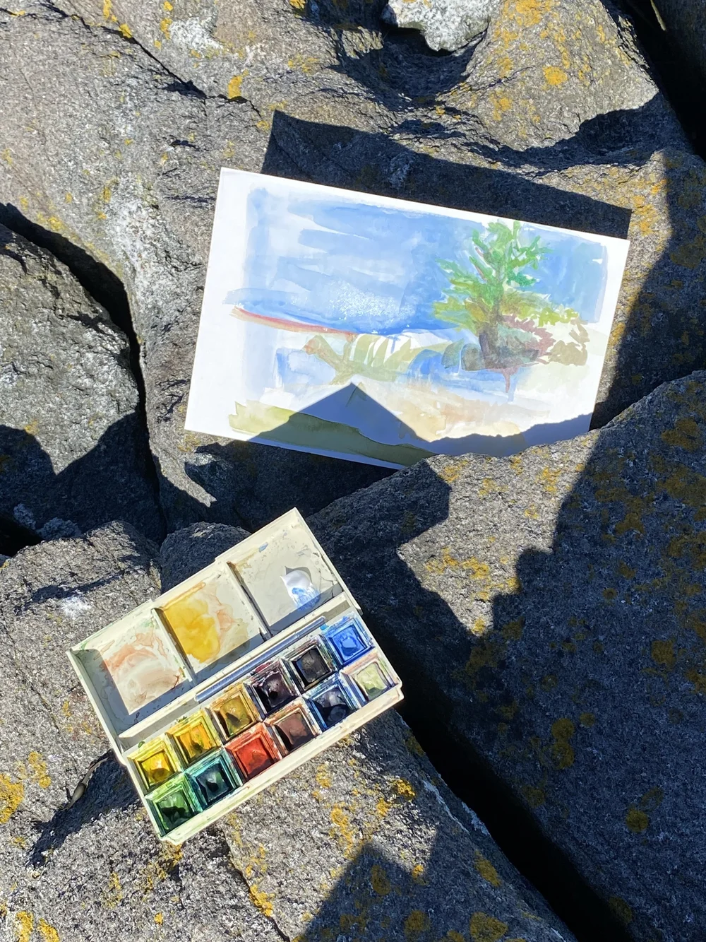 Program Schedule — Pinecone Studio