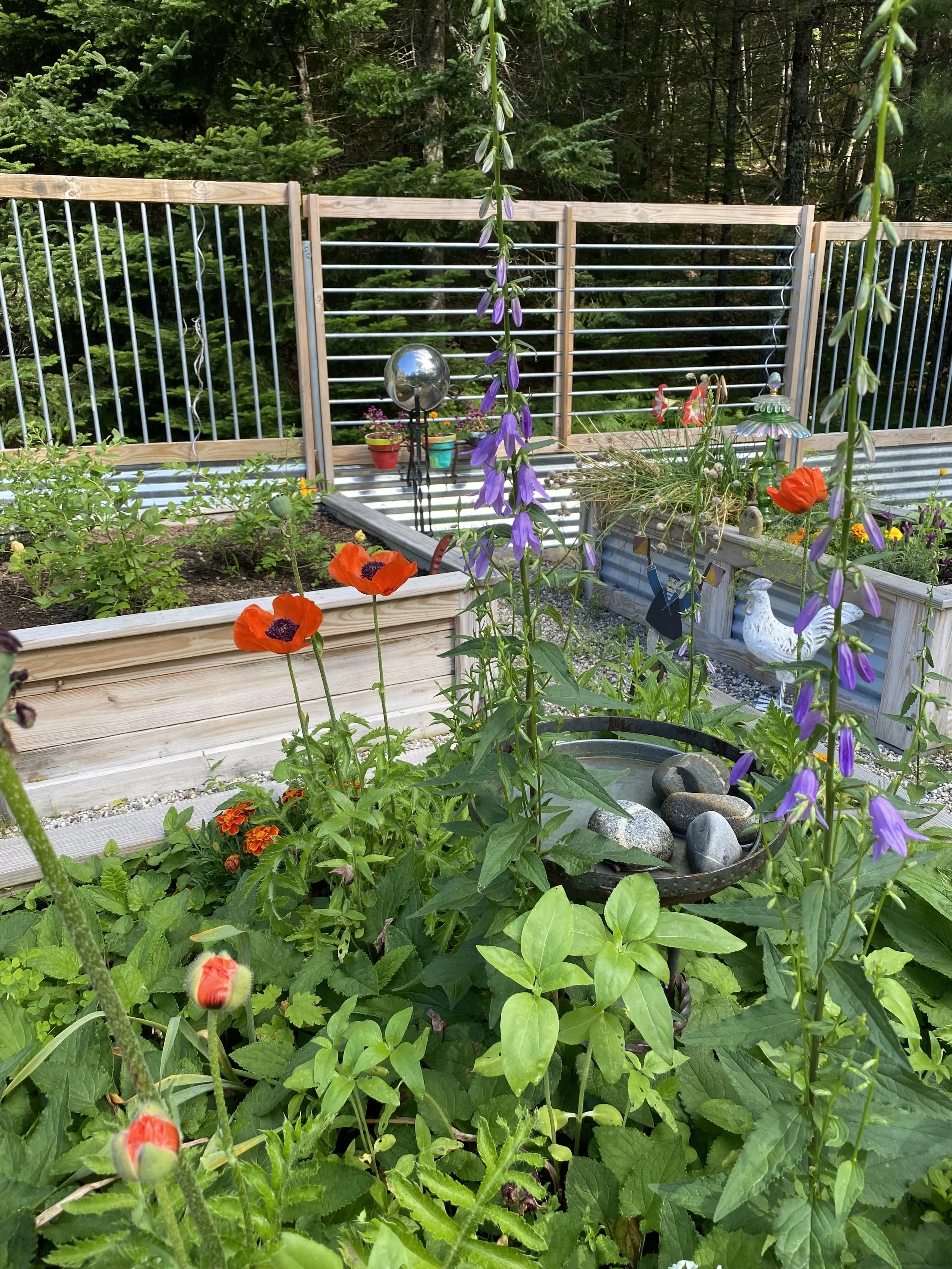 Programs — Pinecone Studio