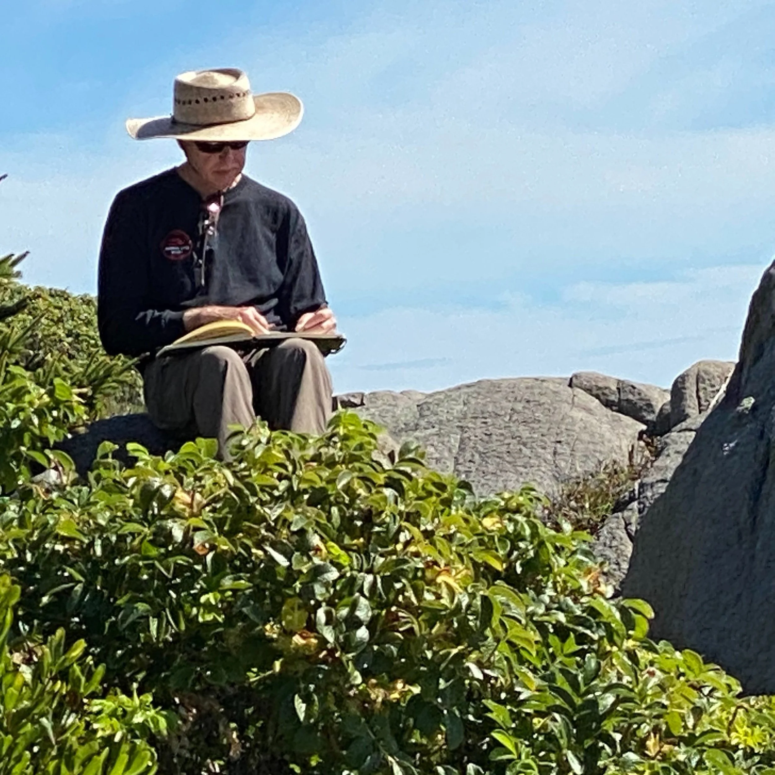 Program Schedule — Pinecone Studio