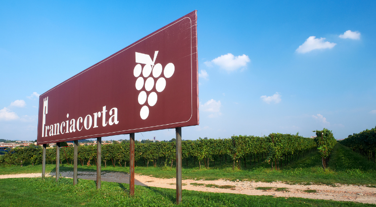 Exploring the Wine Regions of Italy: North to South | SOMM DIGI BLOG
