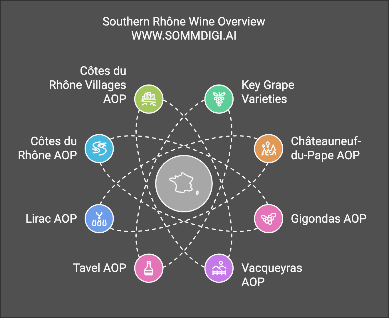 Comprehensive Guide to Rhône Valley Wines for Certified Sommeliers