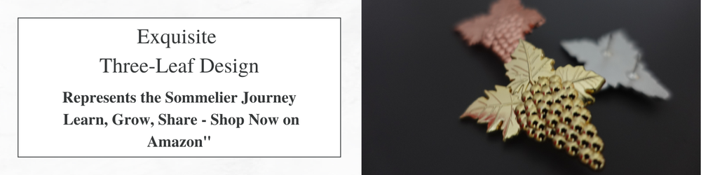 Basic Wine Knowledge For Wine Servers - SOMM DIGI BLOG