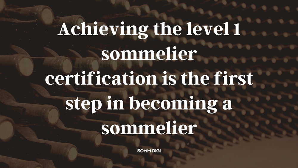 Beginner Sommelier; Level 1 Sommelier Practice Test
