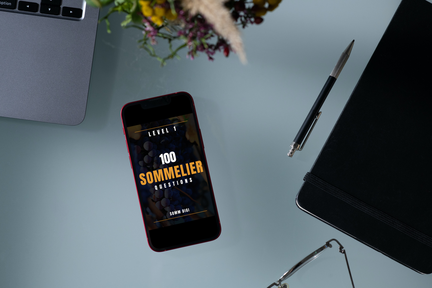 Level 1 Sommelier Study Guide and Questions - SOMM DIGI BLOG