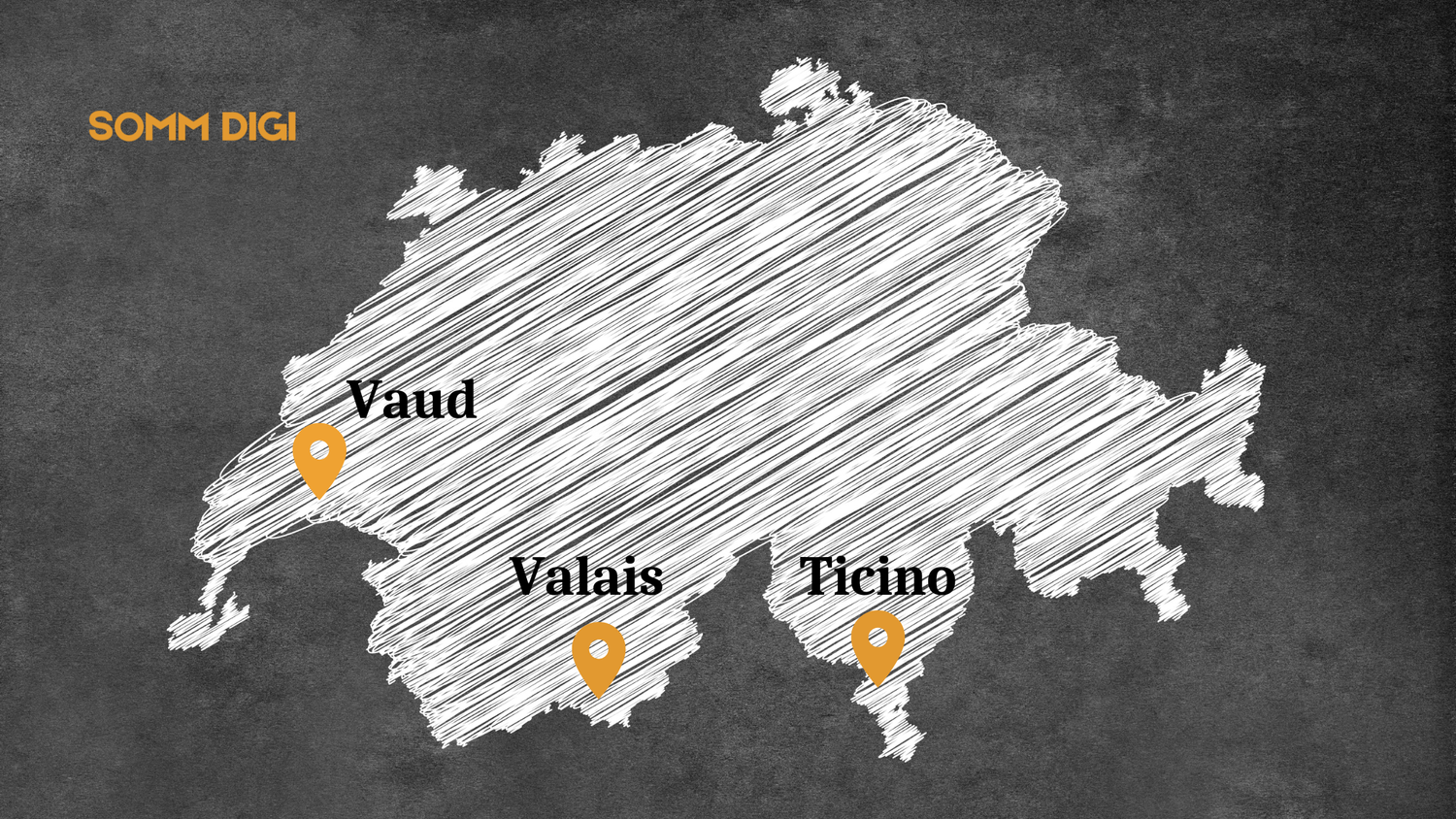 Discovering Swiss Wine: Regions, Grapes, and Unique Flavors