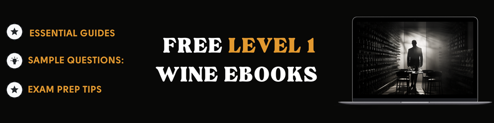 Beginner Sommelier; Level 1 Sommelier Practice Test