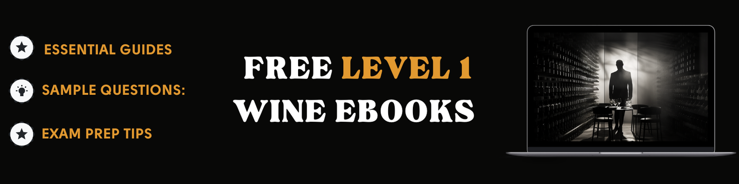 Beginner Sommelier; Level 1 Sommelier Practice Test