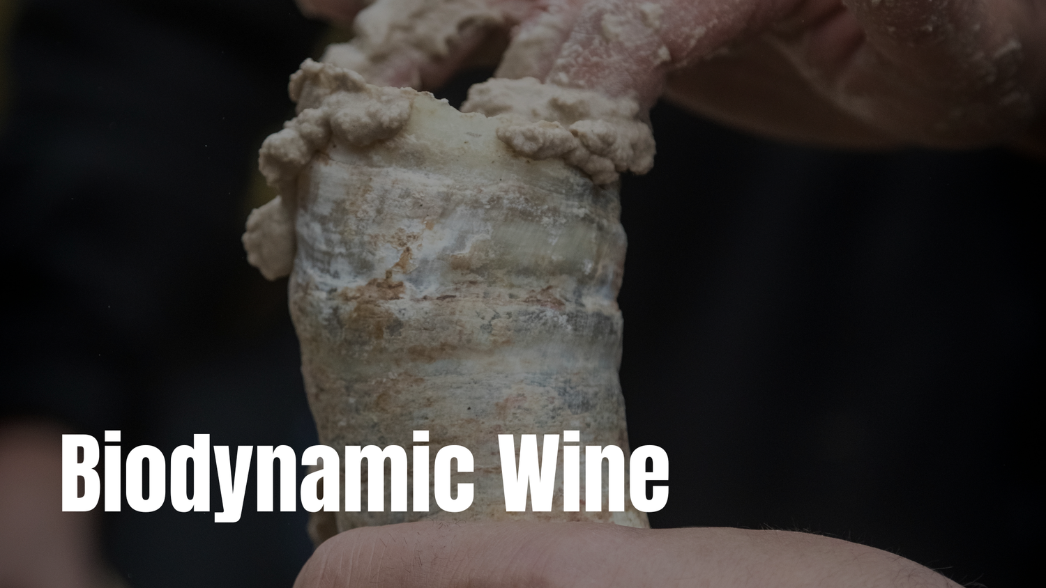 Biodynamic Wine; History and Today's Roles in Wine World ( Most Updated )