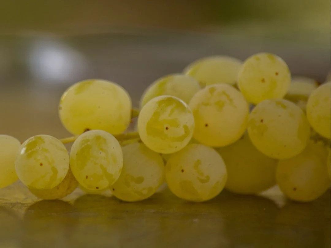 What Is Chenin Blanc, and Why Should You Be Interested in It?