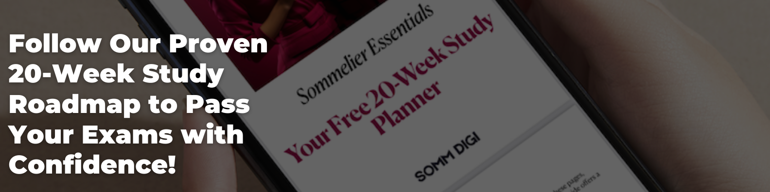 Beginner Sommelier; Level 1 Sommelier Practice Test