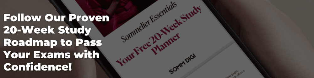 Beginner Sommelier; Level 1 Sommelier Practice Test