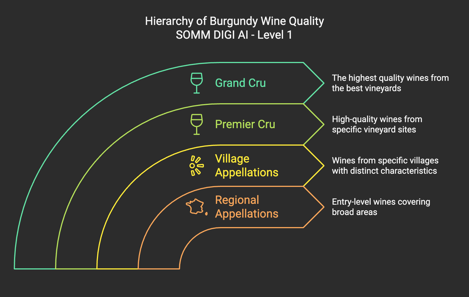 Introductory Sommelier Level 1 Guide to Burgundy: Key Facts, Grapes ...