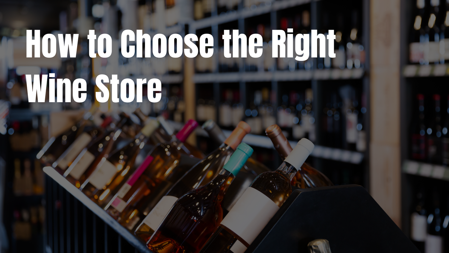 Wine Buying Advice: How to Choose the Right Wine Store | SOMM DIGI BLOG