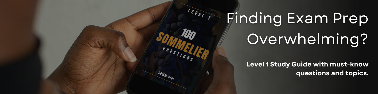 Beginner Sommelier; Level 1 Sommelier Practice Test