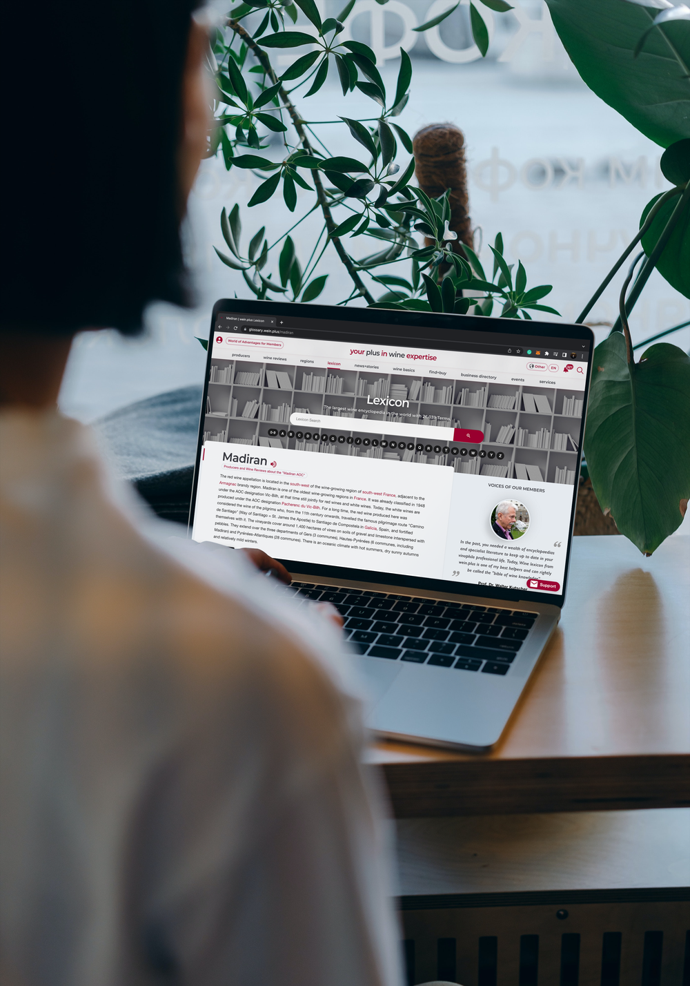 Sommelier Levels: How to Ace the Sommelier Test and Exam at Every Stage