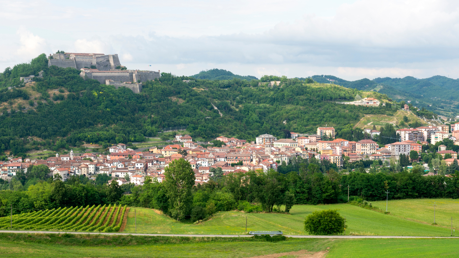 Gavi Wine Guide: Discover the Charm of Gavi di Gavi