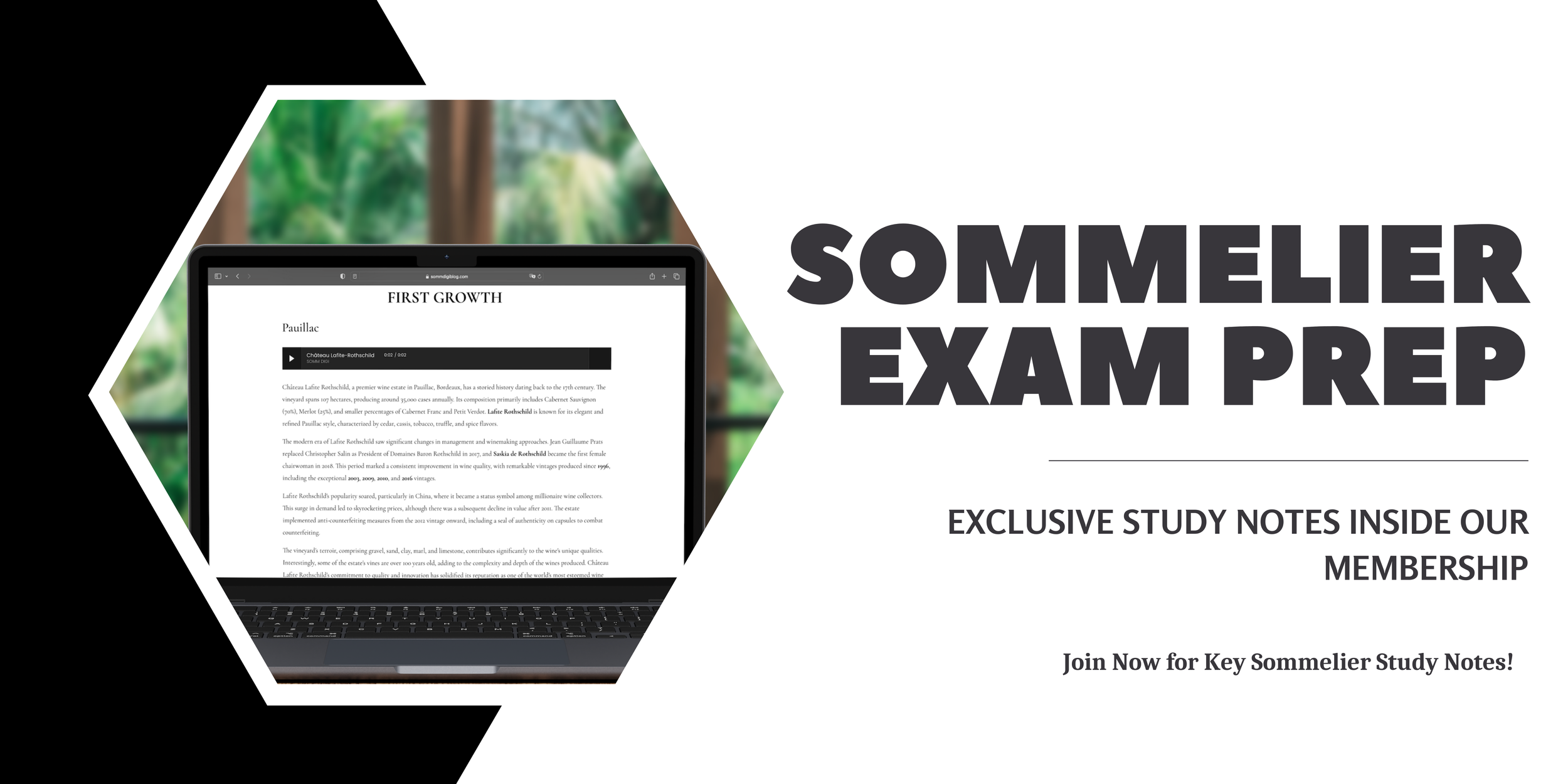 Bubbly Insights: A Sommelier's Sparkling Quiz