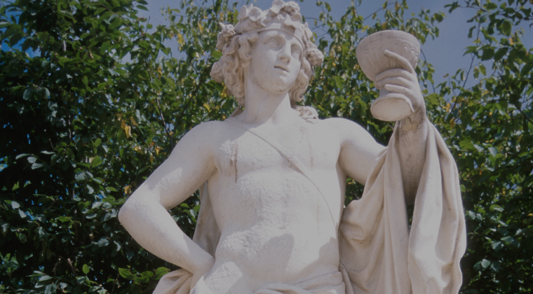 6 Questions About Bacchus: The Answers You're Looking For - SOMM DIGI BLOG