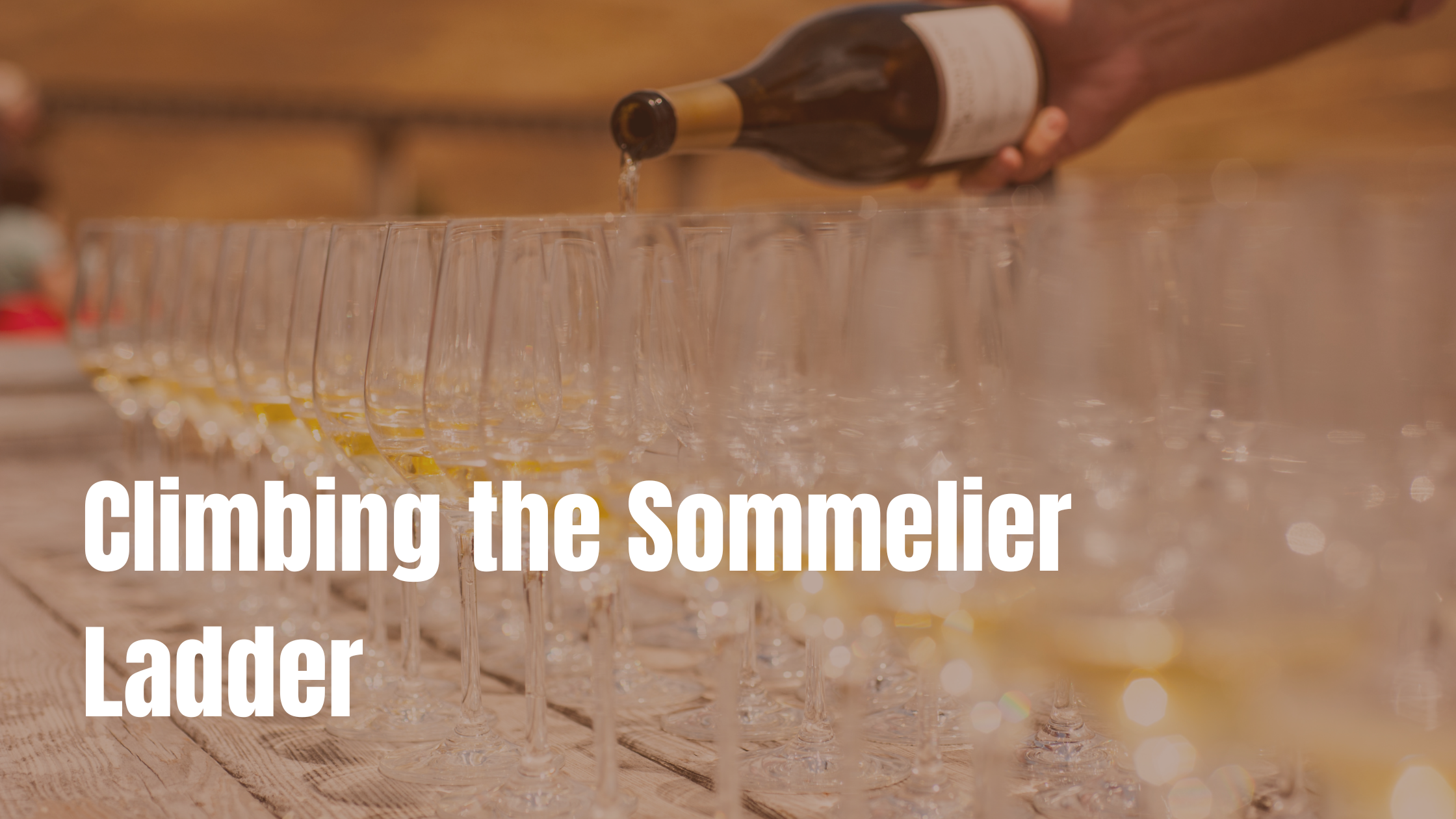 Sommelier Levels: Understanding the Ranks | SOMM DIGI BLOG