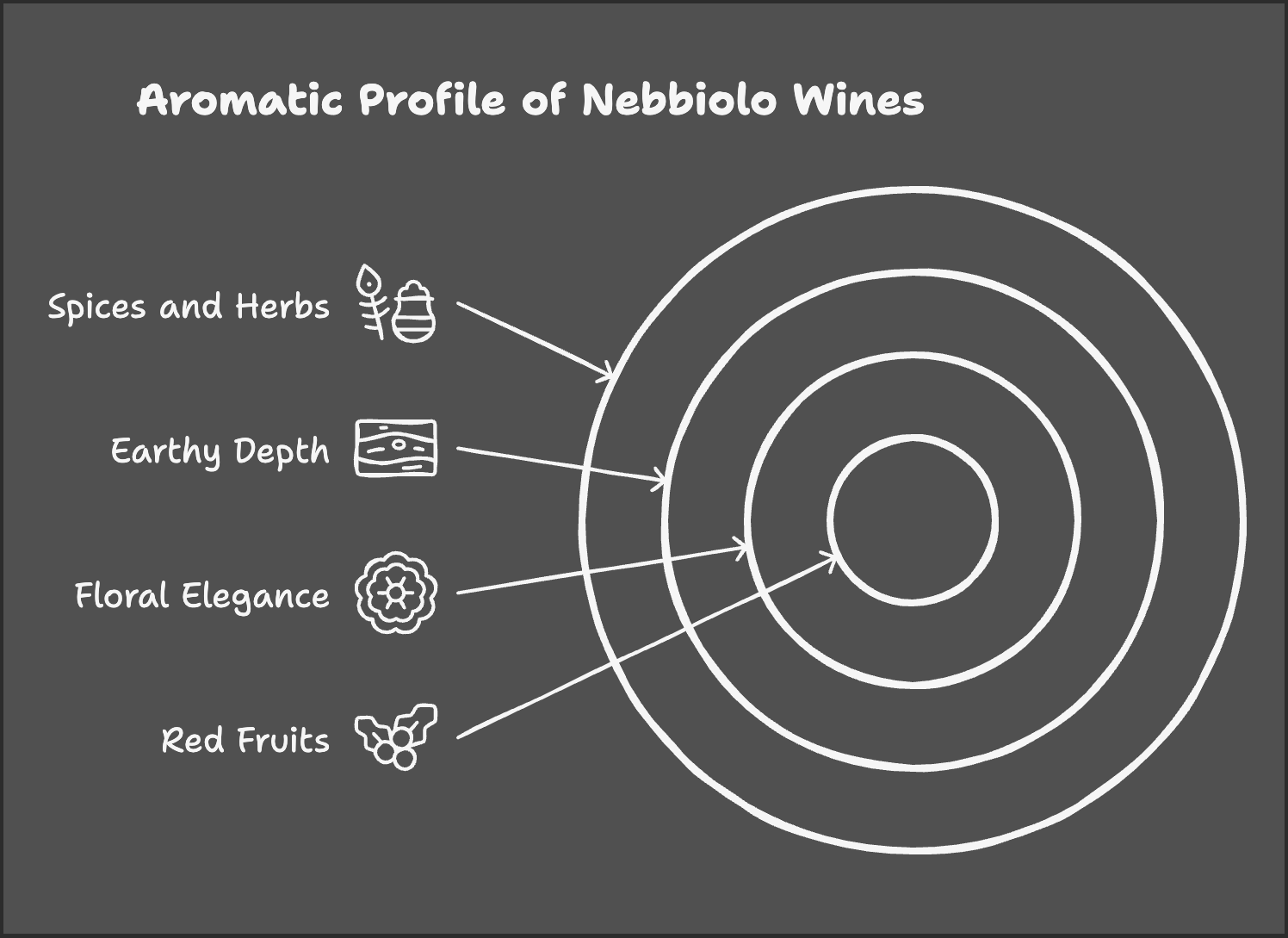 Why Is Nebbiolo the King of Italian Red Wines?