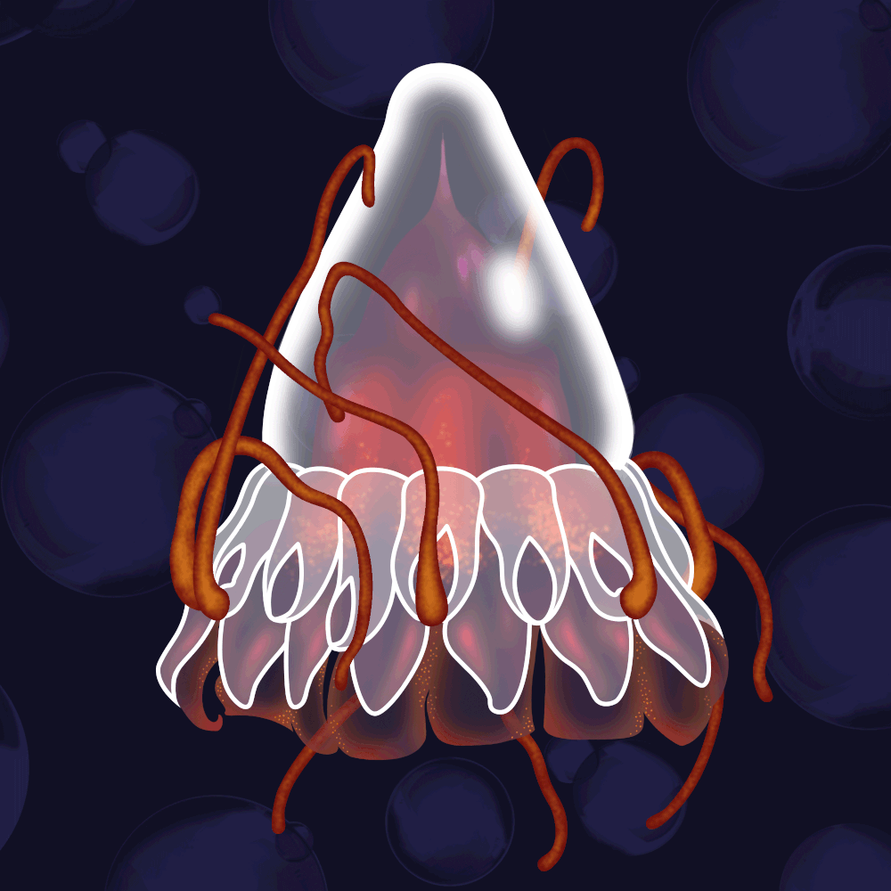 Animated — Art de DeLay