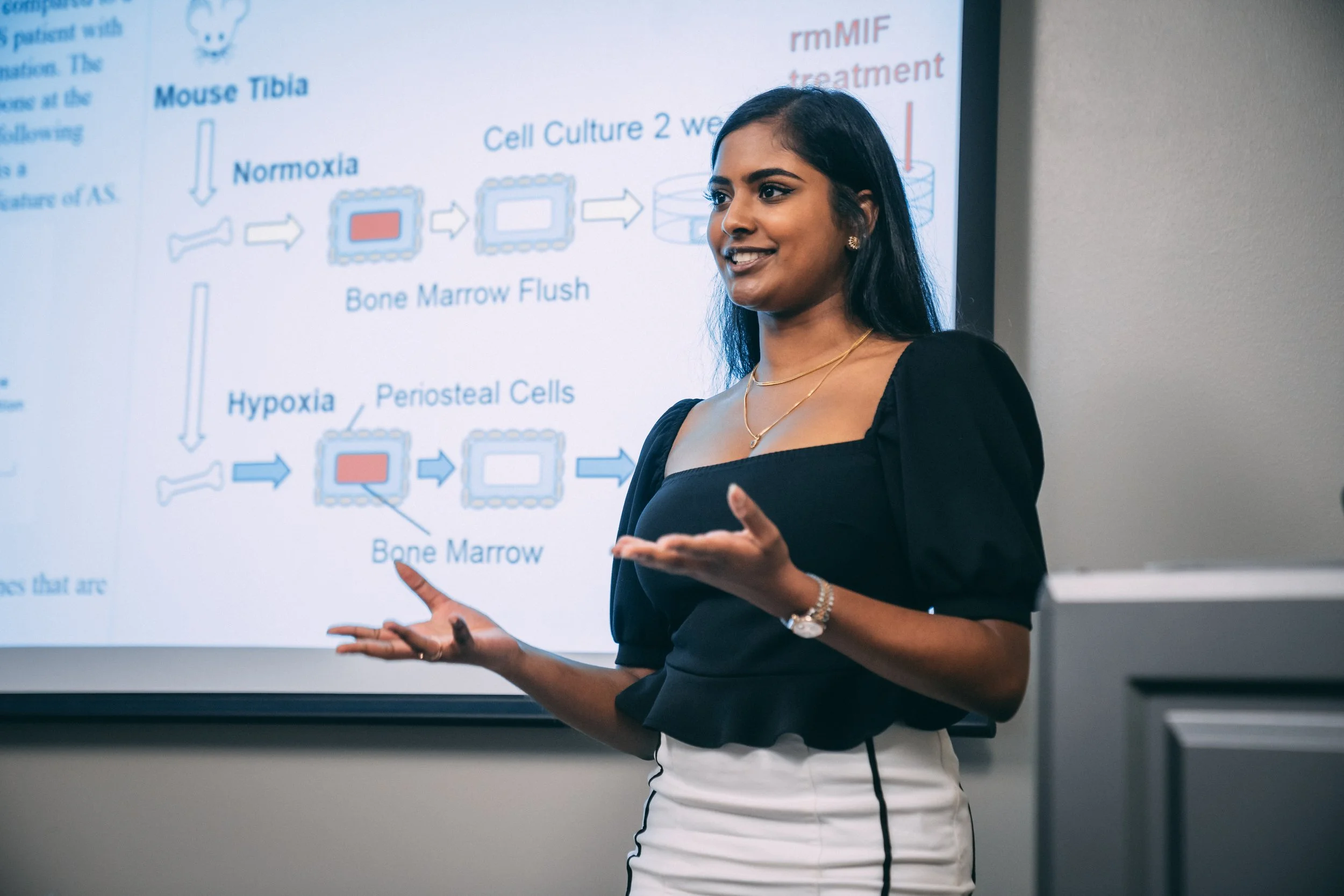 Current Offerings — UHN STEM Pathways