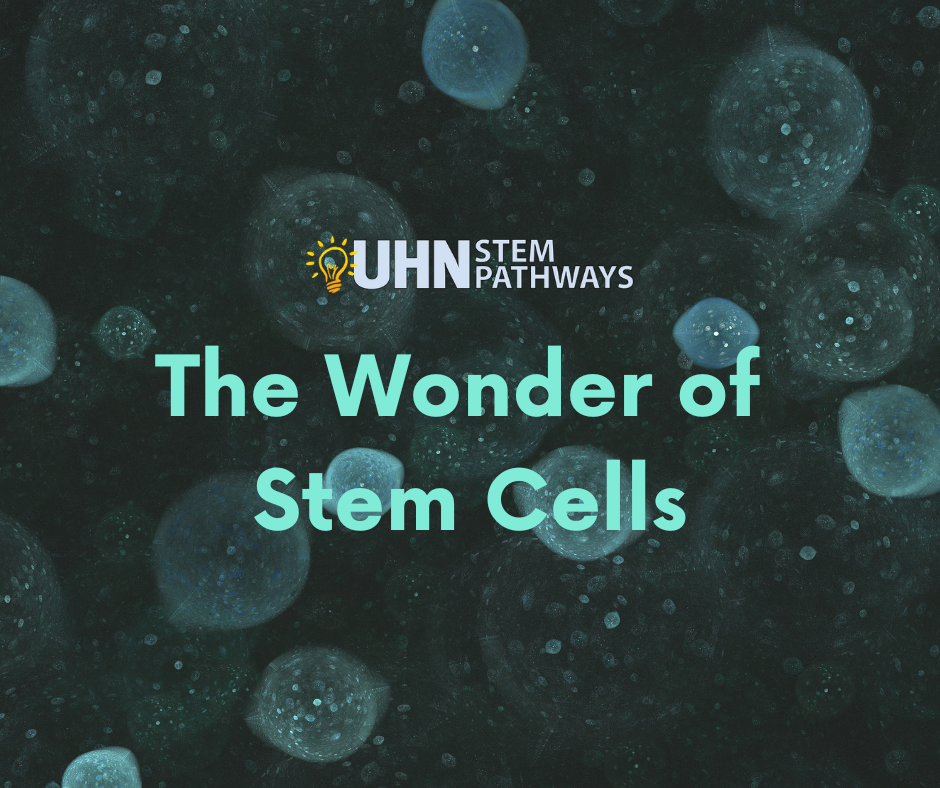 UHN STEM Pathways