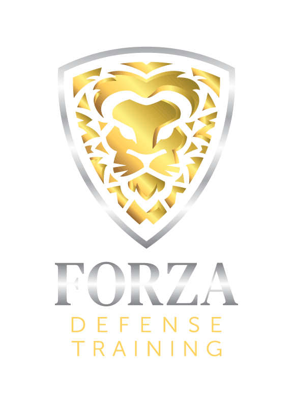 Pistol With Holster at Raahauge’s — ForzaDefense.com
