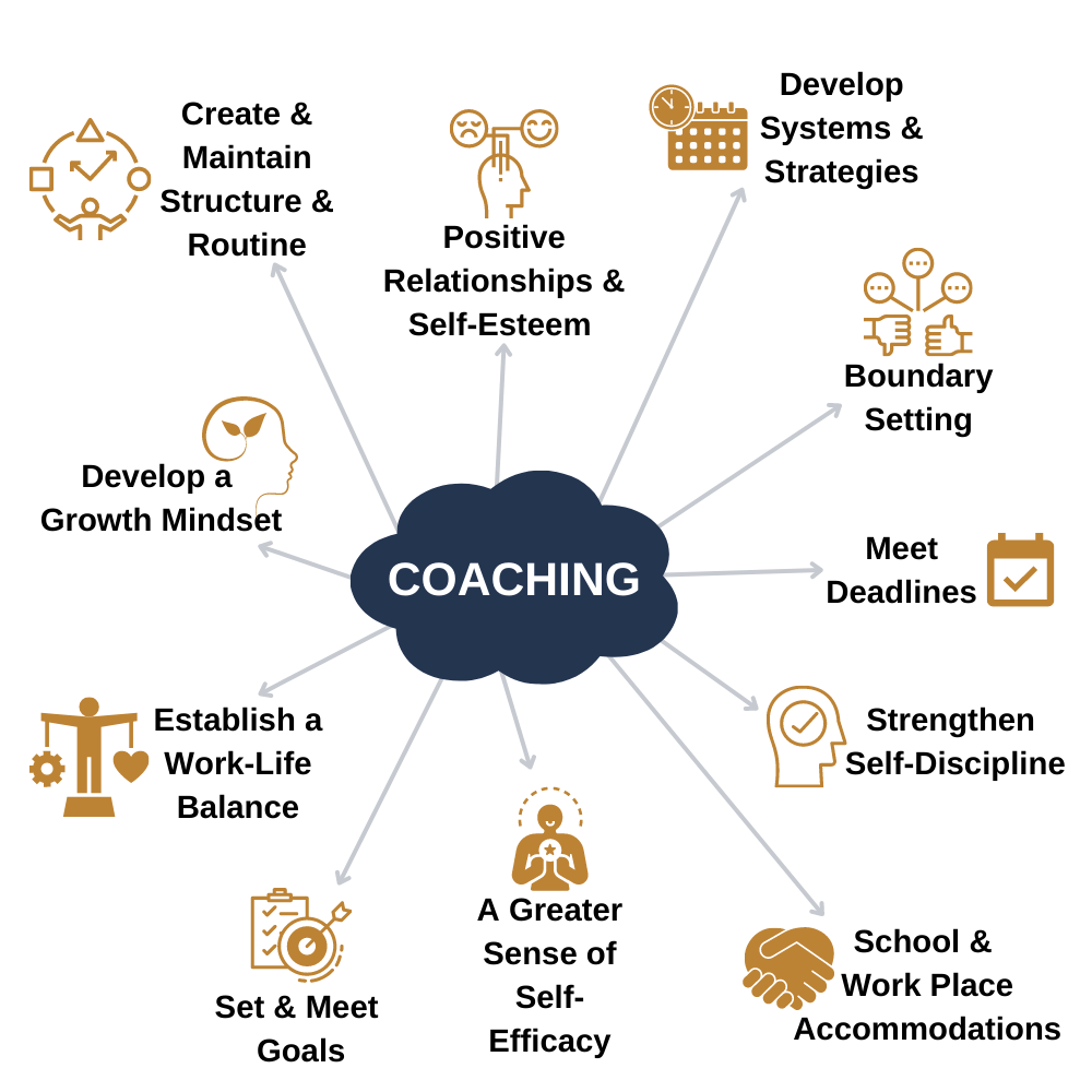 What Is Executive Function Coaching Kanter Coaching