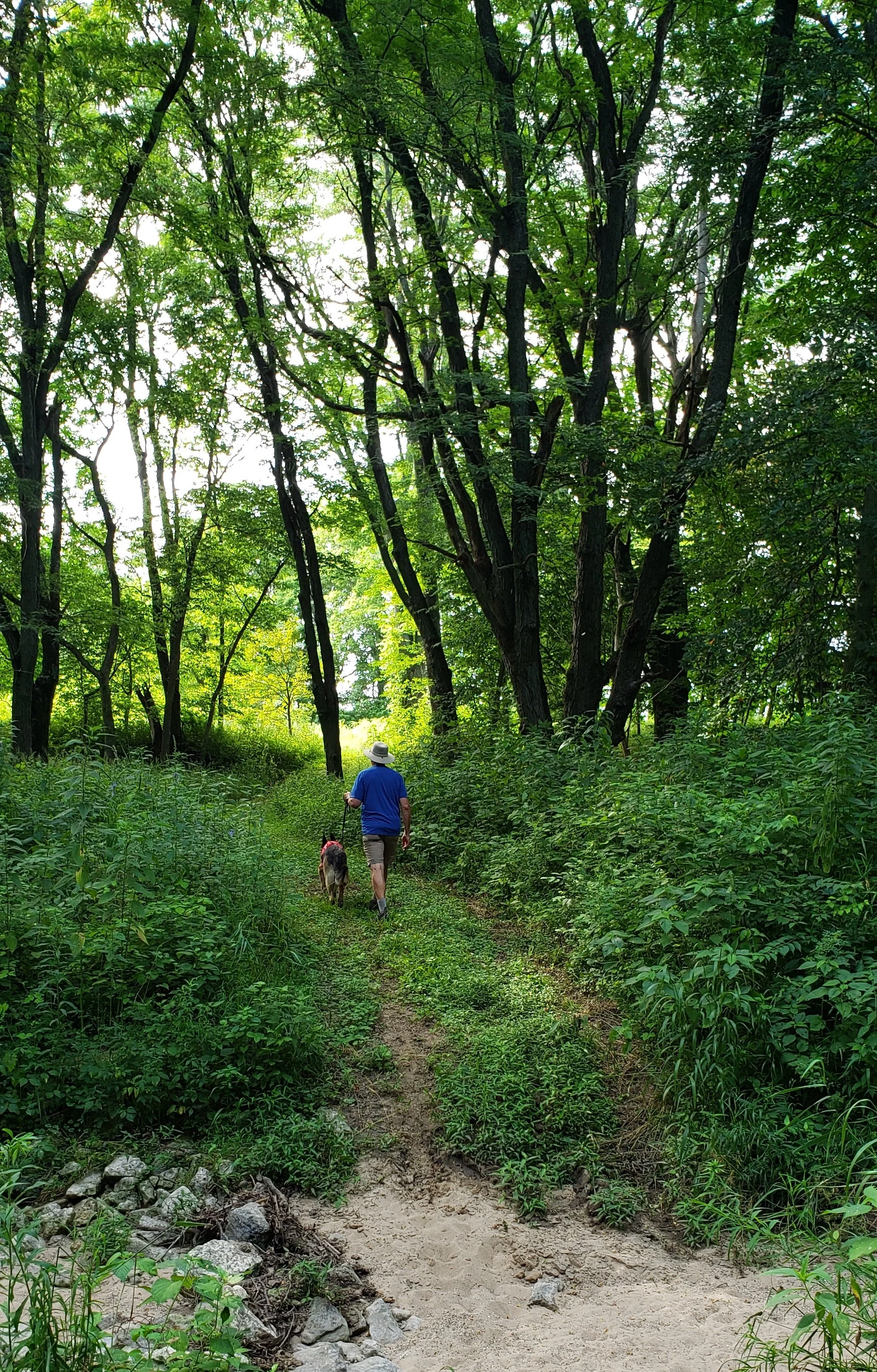 Dixon Waterfowl Refuge — River Valley Outdoors