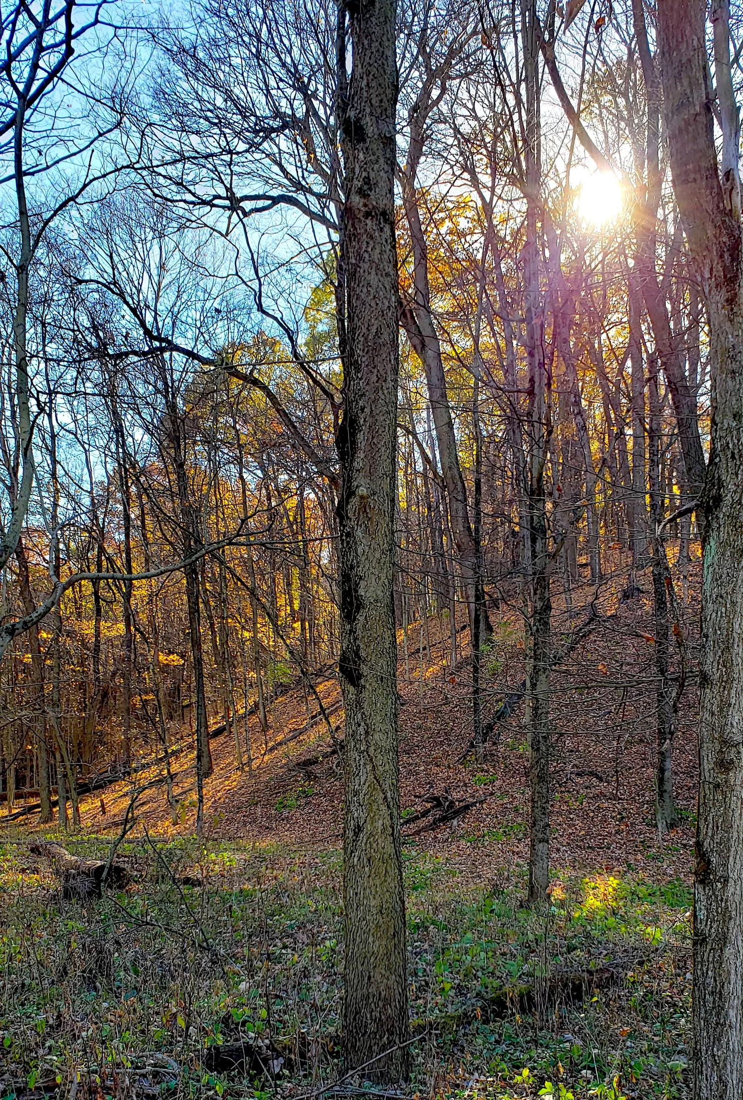 Spring Creek Preserve — River Valley Outdoors