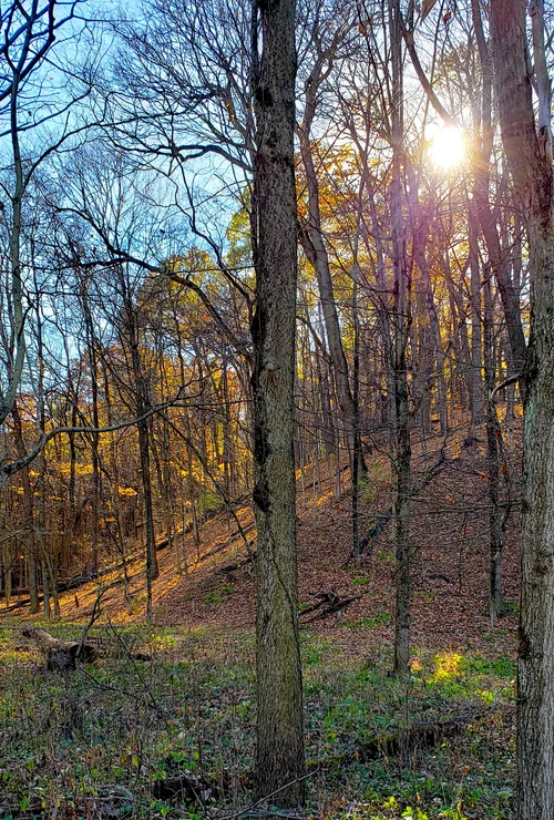Spring Creek Preserve — River Valley Outdoors