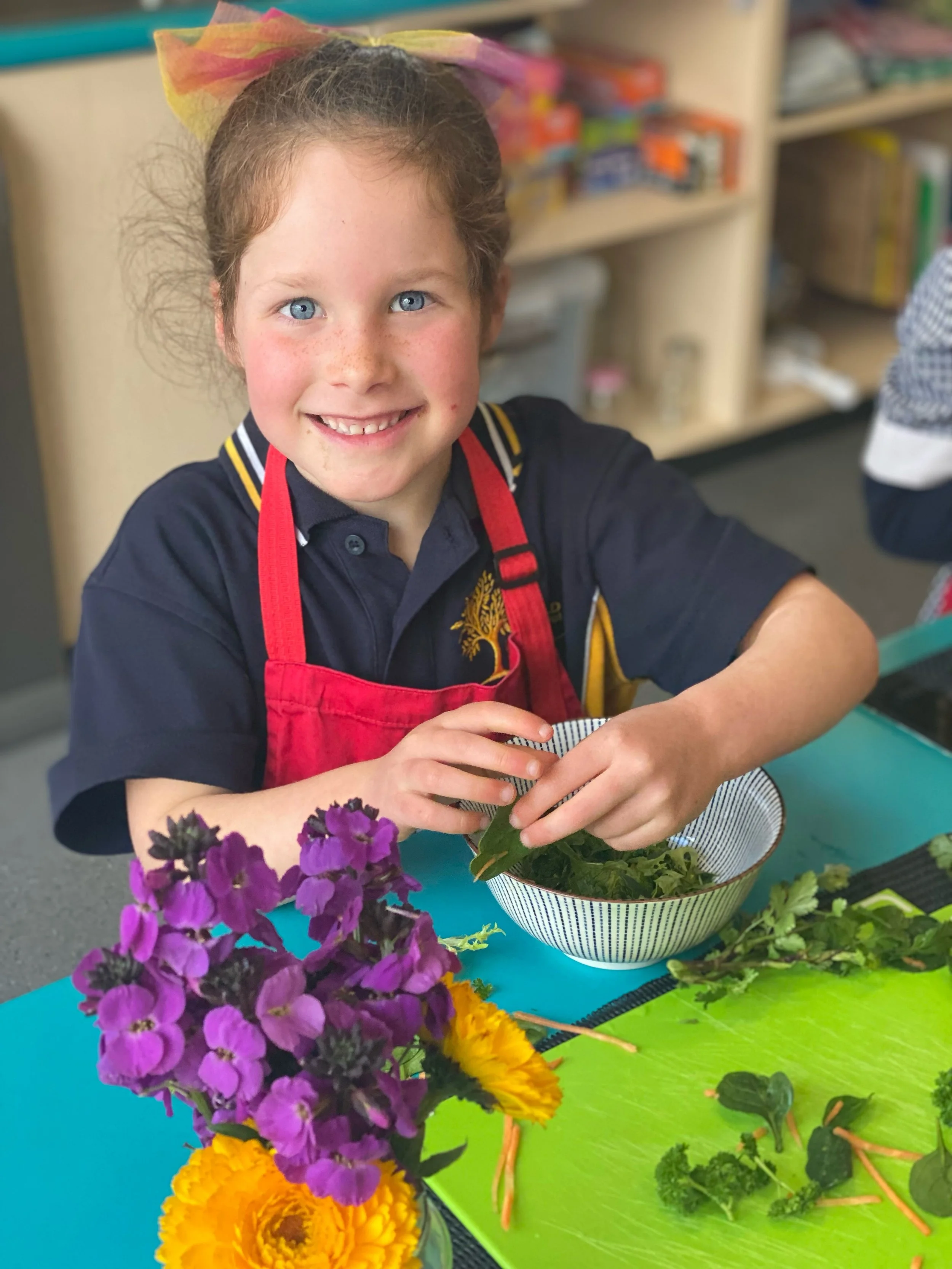 SAKG Program — Lancefield Primary School