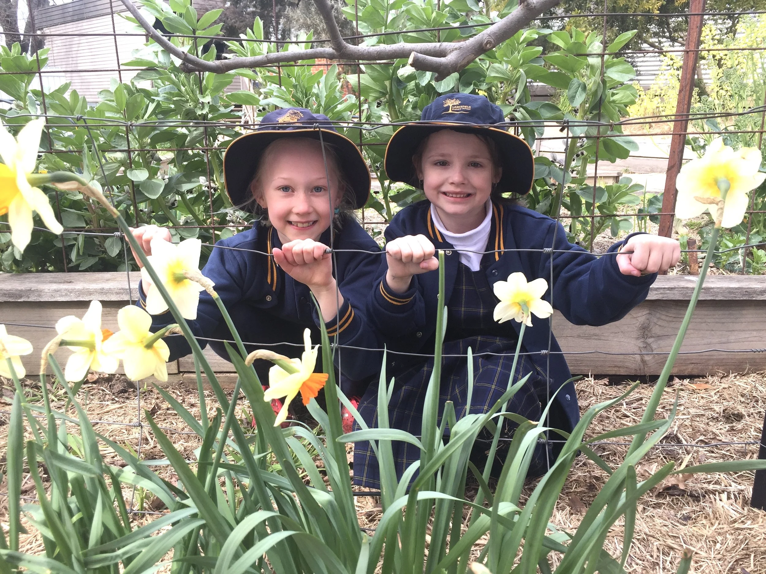 Lancefield Primary School