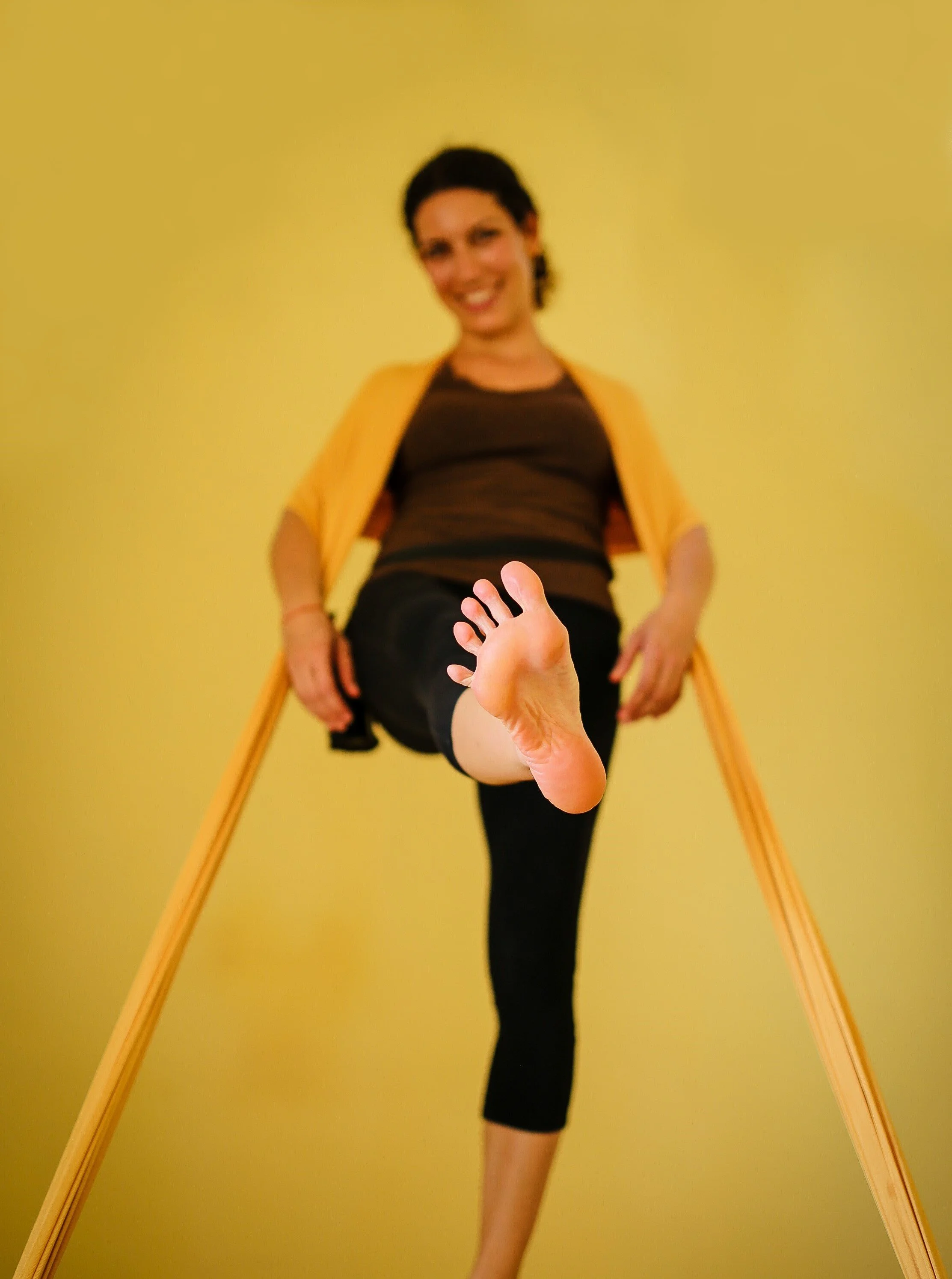 International — Sarga Bodywork