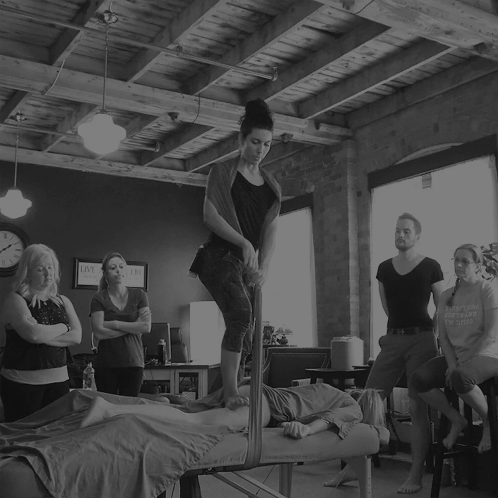 Sarga Bodywork Store USA — Sarga Bodywork