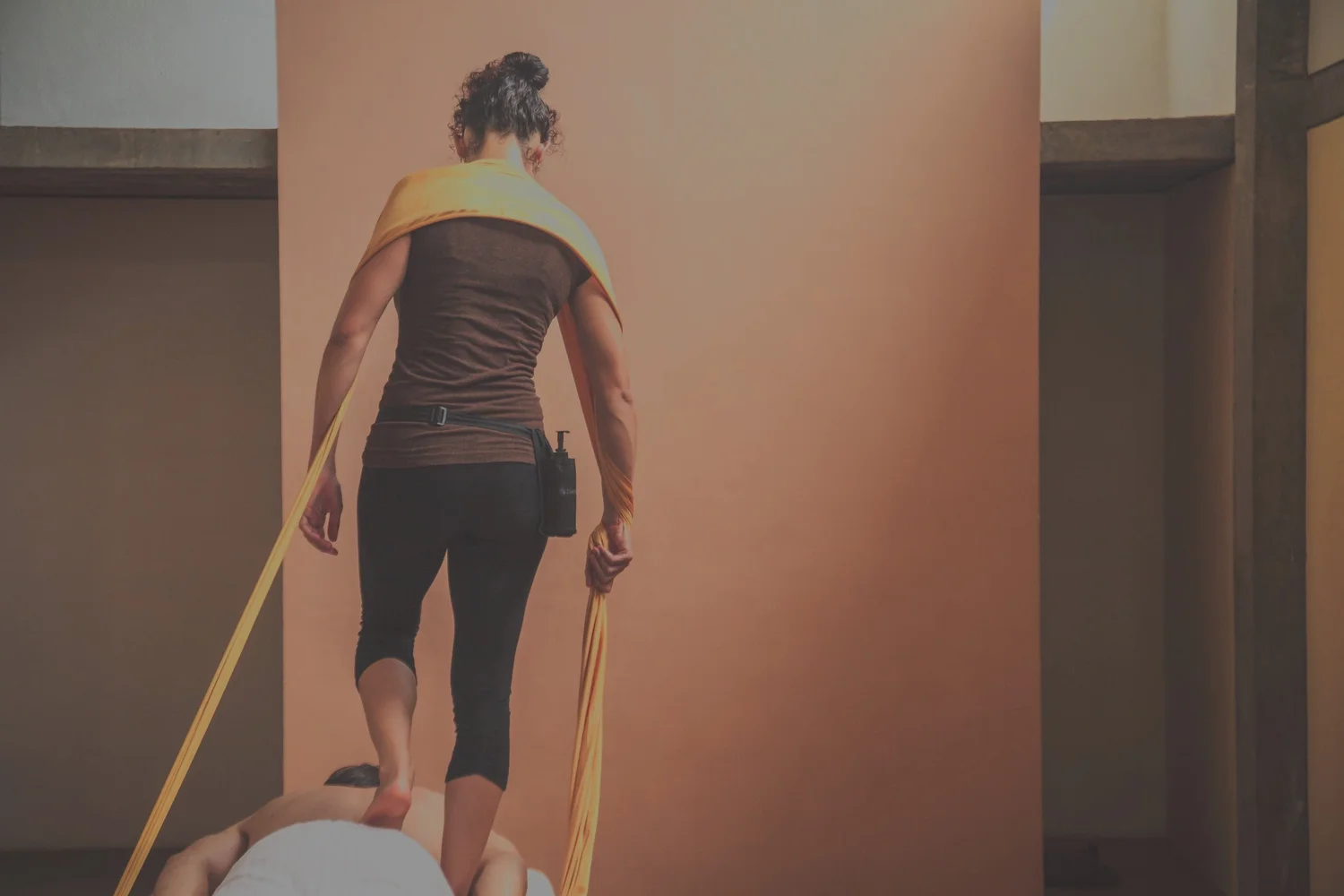 Sarga 101: Learn Online (Guided) — Sarga Bodywork