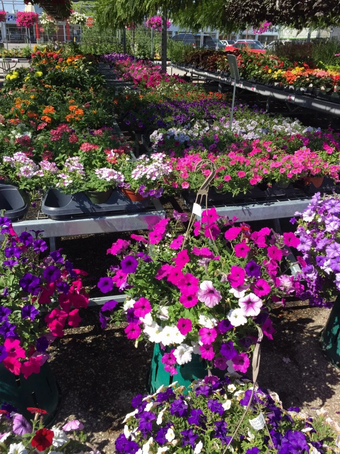 Springtime Garden Centre