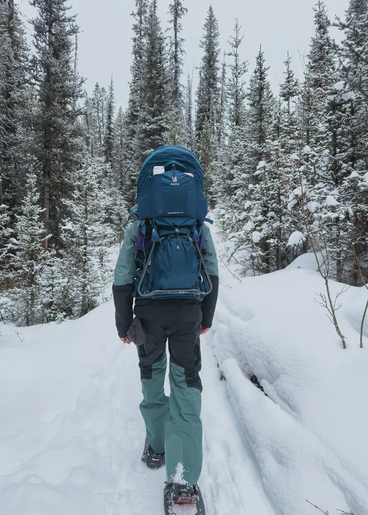 Snowshoeing the Rummel Lake Trail, Alberta Canada — Kat Knox